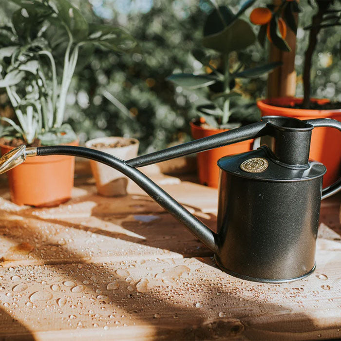 Modern & Contemporary Garden Accessories | twentytwentyone