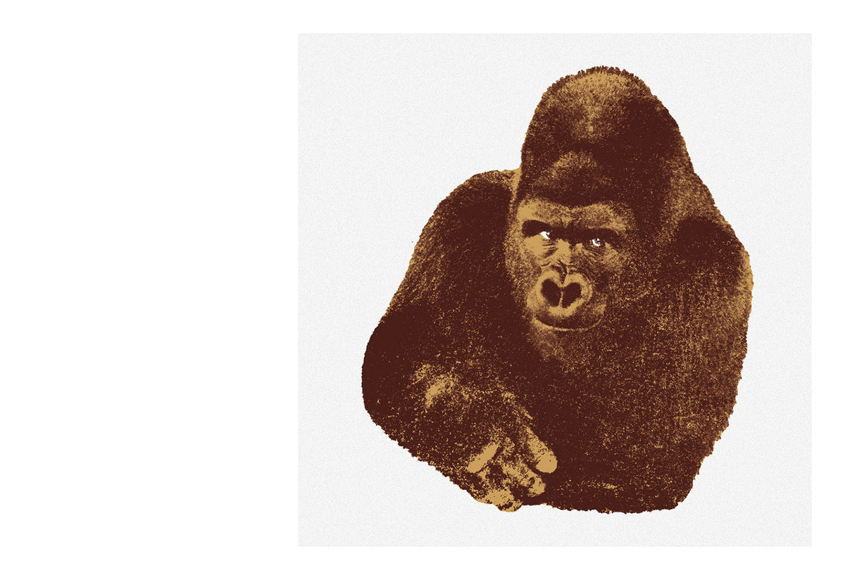 Danese Quindici il Gorilla Screen Print | twentytwentyone