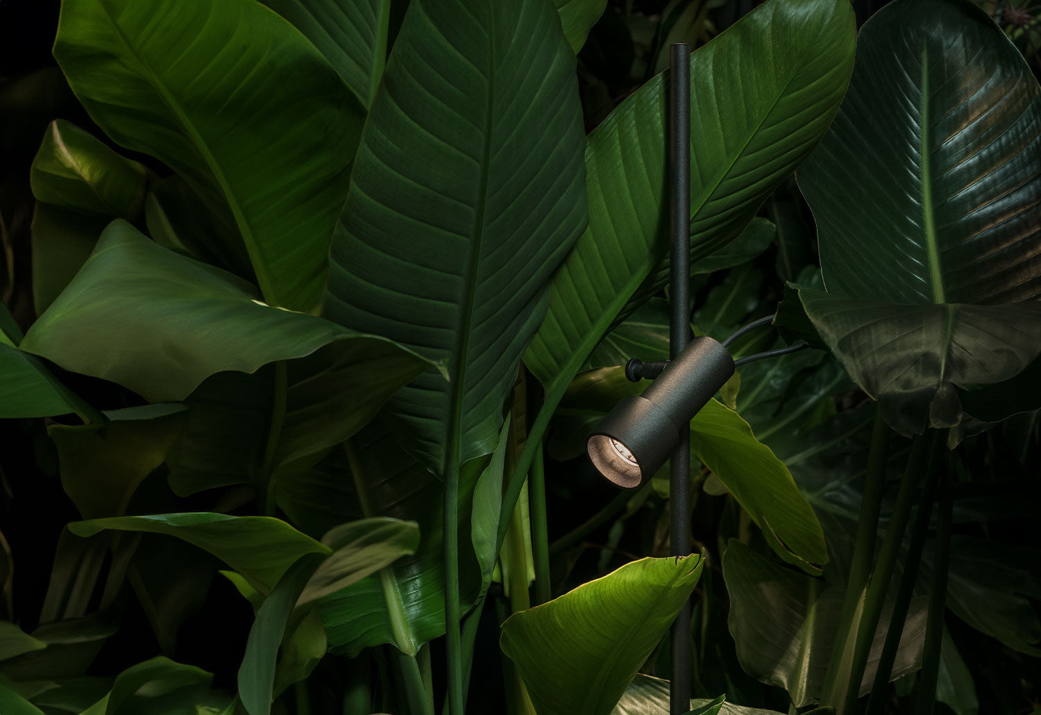 Marset Palosanto Bollard | twentytwentyone