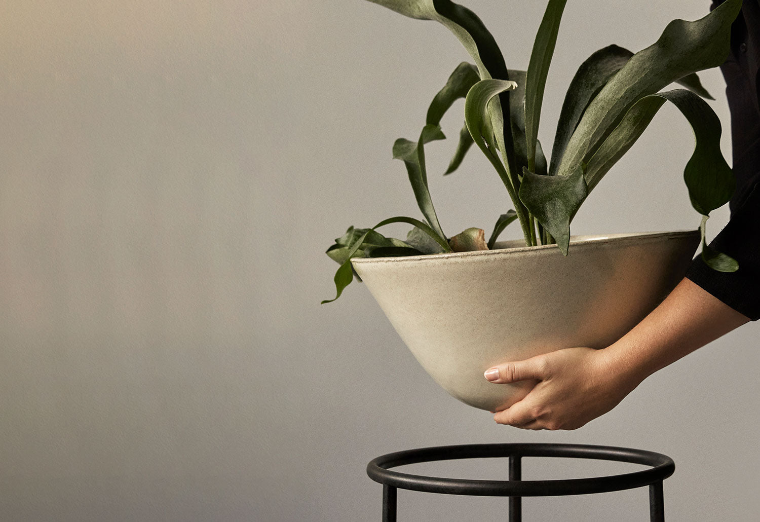 Audo Copenhagen Daiza Planters | twentytwentyone